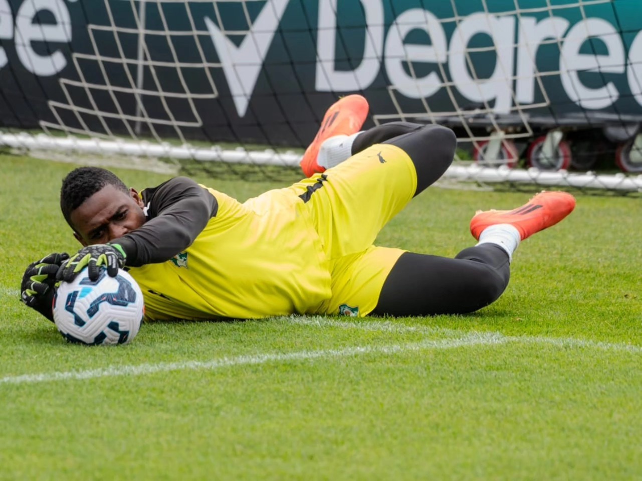 Sangaré Badra Ali, le héros des Éléphants : L’incroyable prestation qui ...